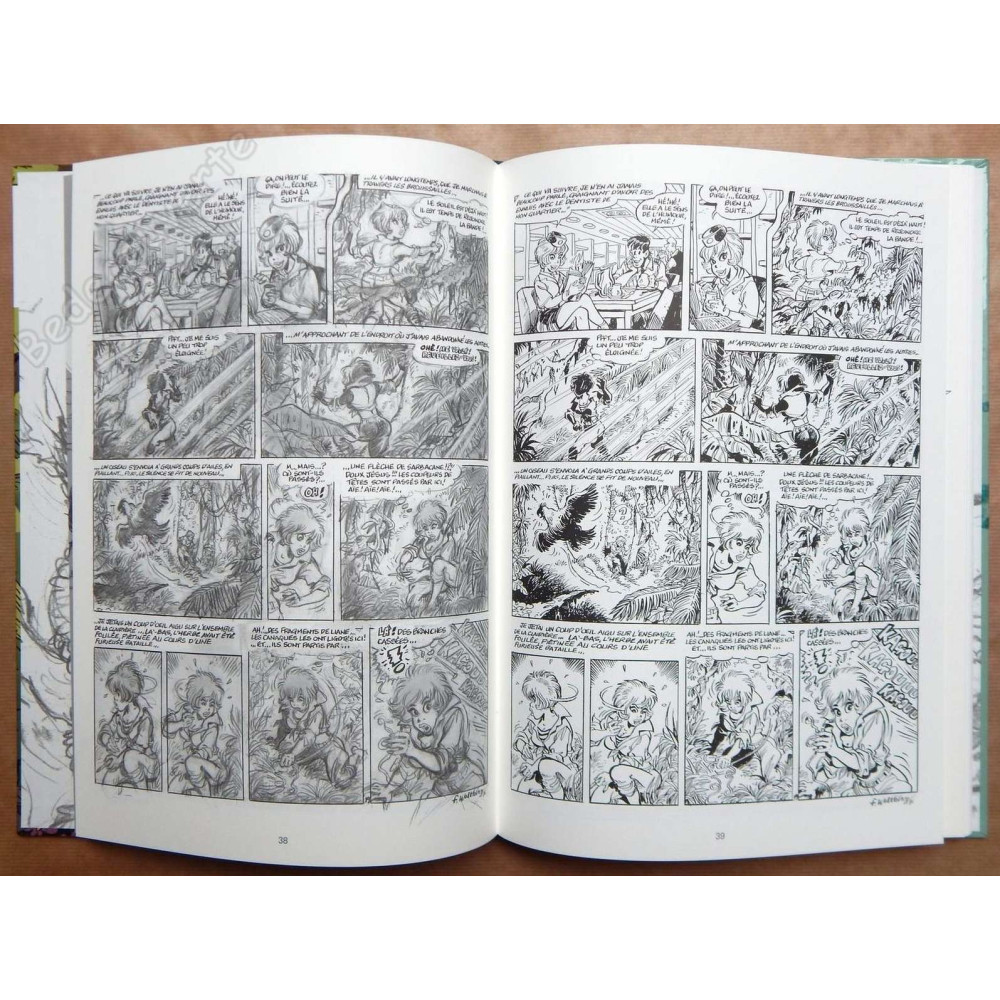 Tirage Spécial Walthéry - Natacha 23 Sur les traces de l'Epervier Bleu Tirage de Tête